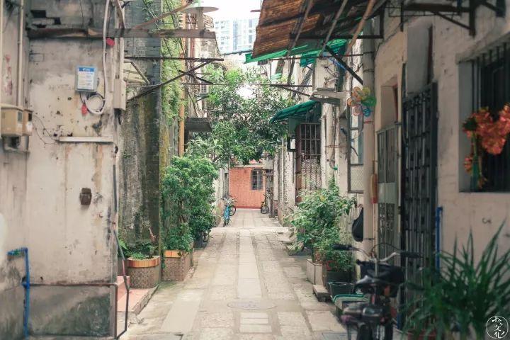盐城小巷子50 东台小巷子 盐城大学城后街 大山谷图库