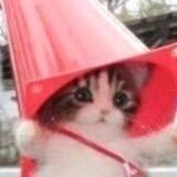 Christa & Tonyo.zip - UC网盘分享